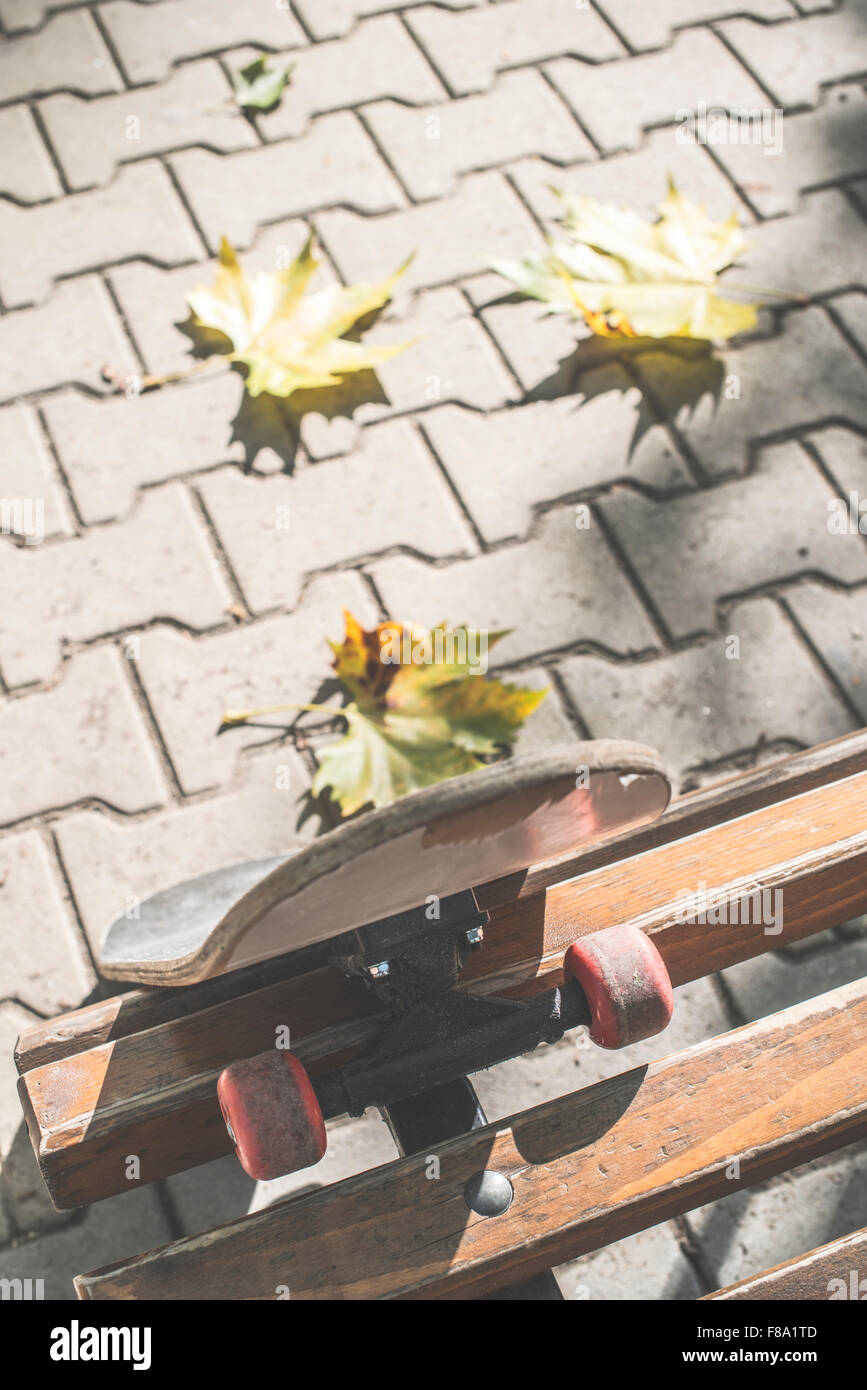 Skateboard in the park during autumn. Close up Stock Photo - Alamy