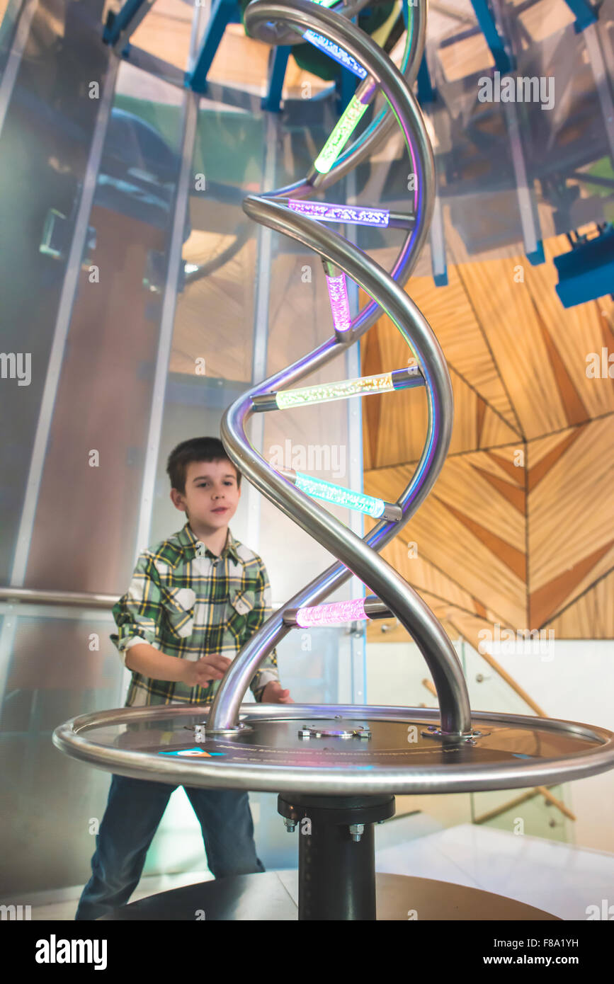 Dna sculpture hi-res stock photography and images - Alamy