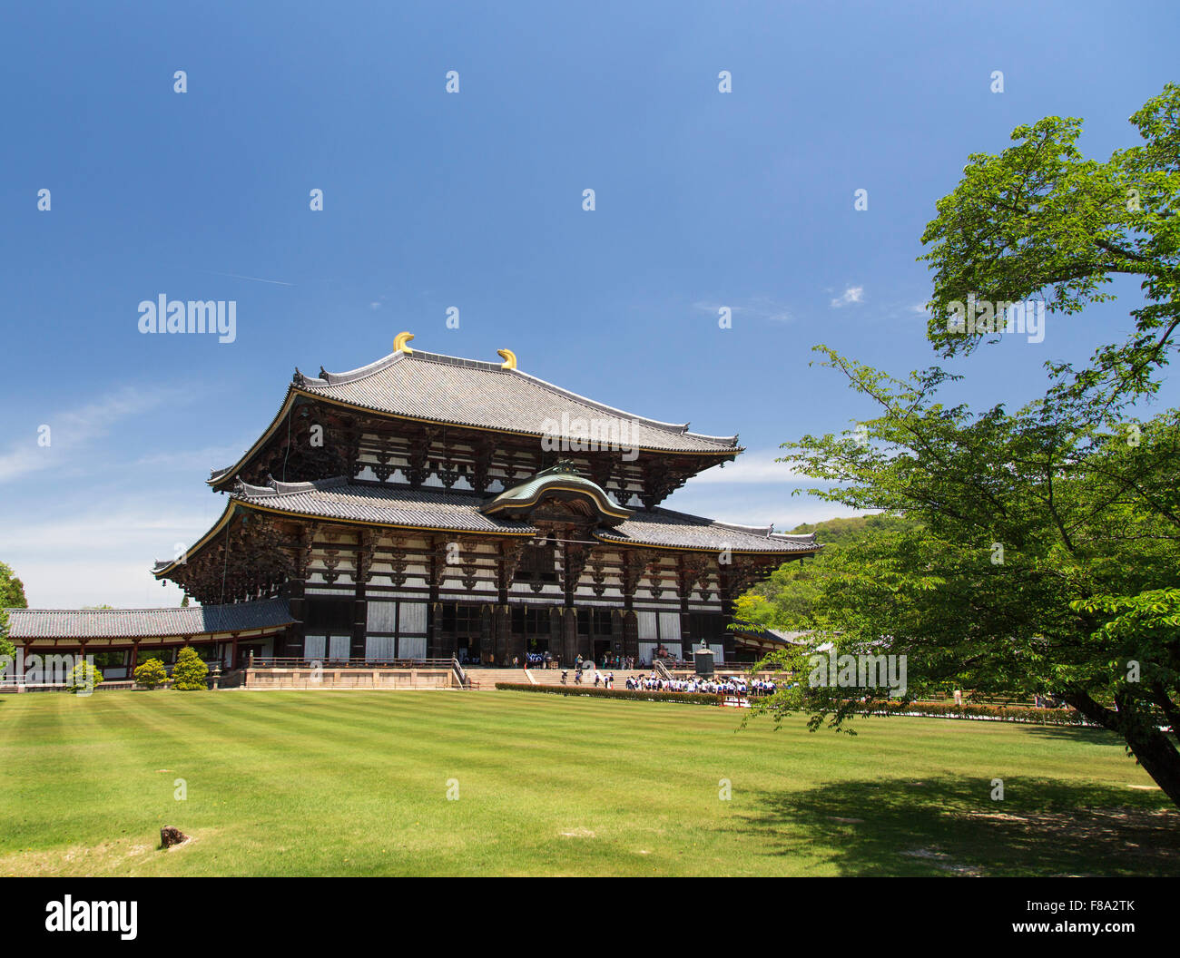 Todaiji temple kyoto hi-res stock photography and images - Alamy