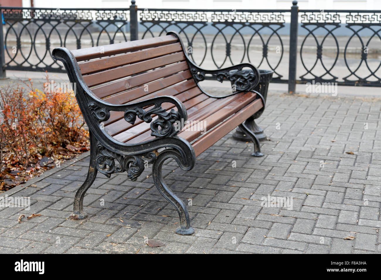 Bench benches branch hi-res stock photography and images - Alamy