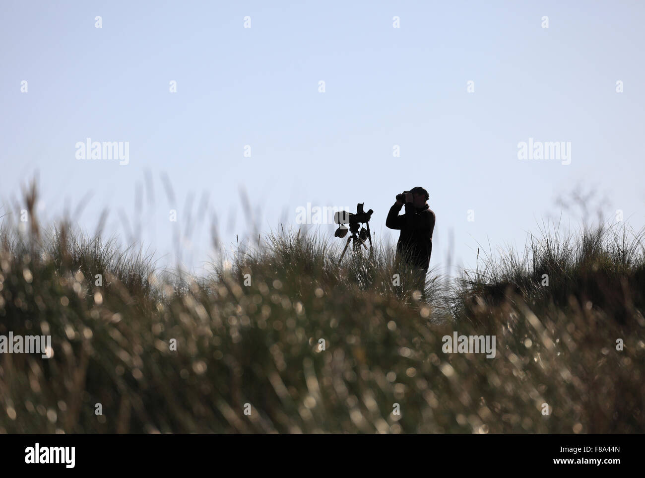 A man birdwatching at Holme Dunes Nature Reserve on the Norfolk coast ...