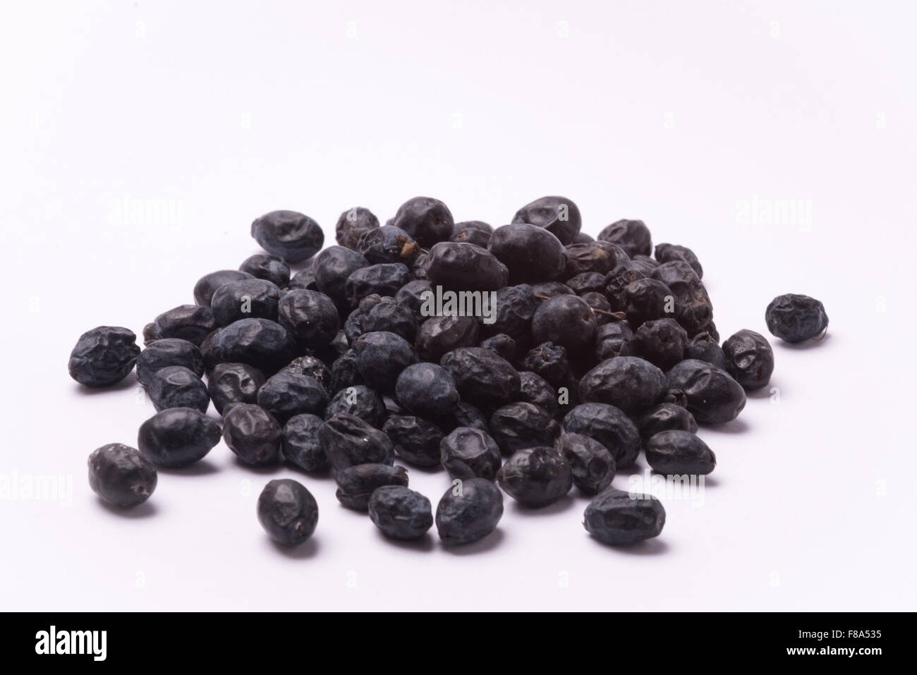 Bacche di mirto Stock Photo - Alamy