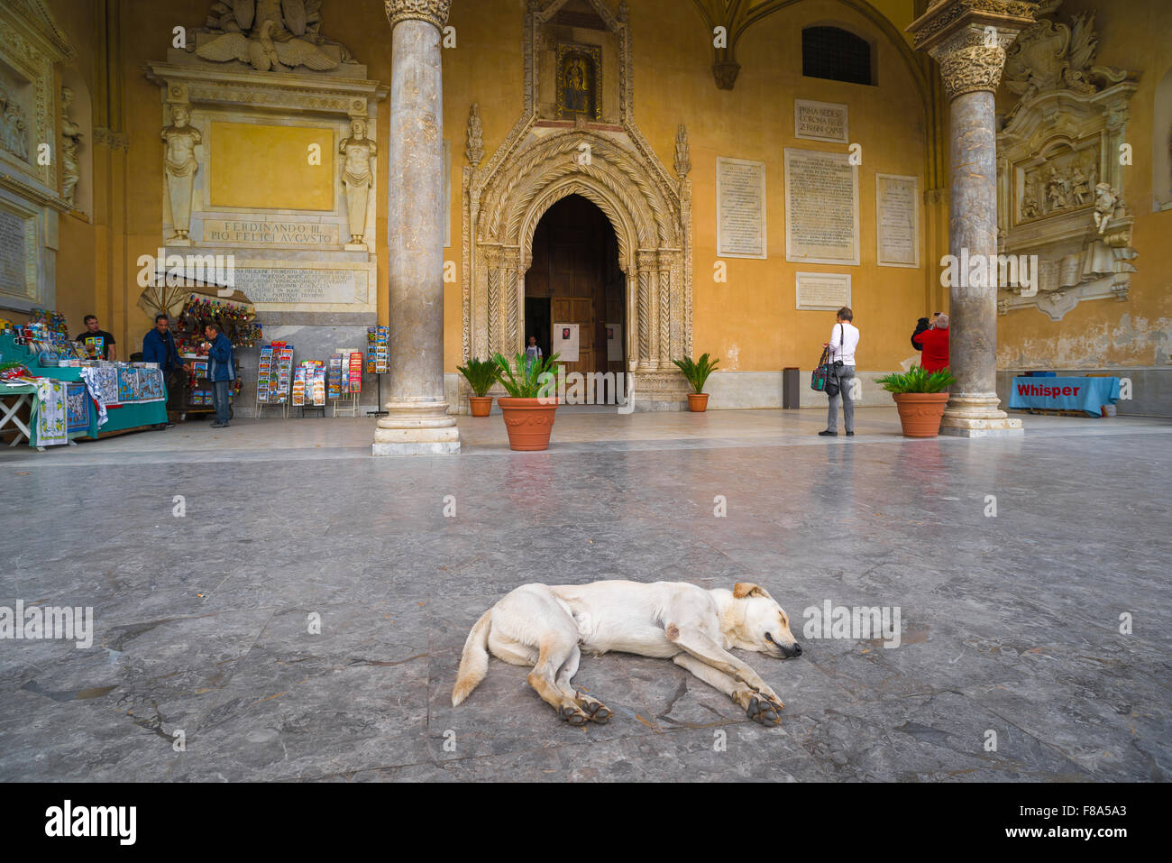 Dog sicily hi-res stock photography and images - Alamy