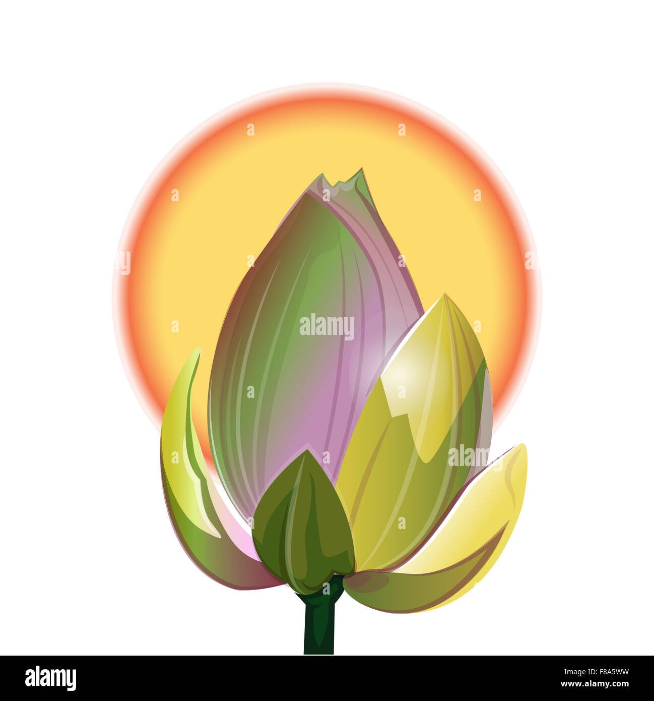 The lotus flower on the background of the rising sun Stock Photo - Alamy