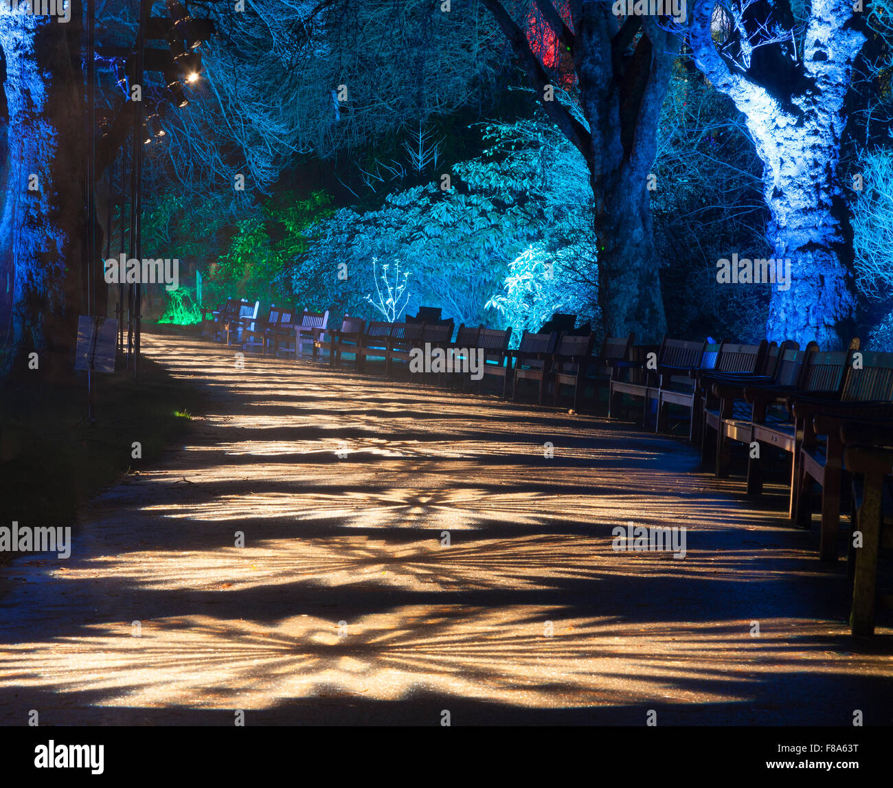 Illuminated path hi-res stock photography and images - Alamy