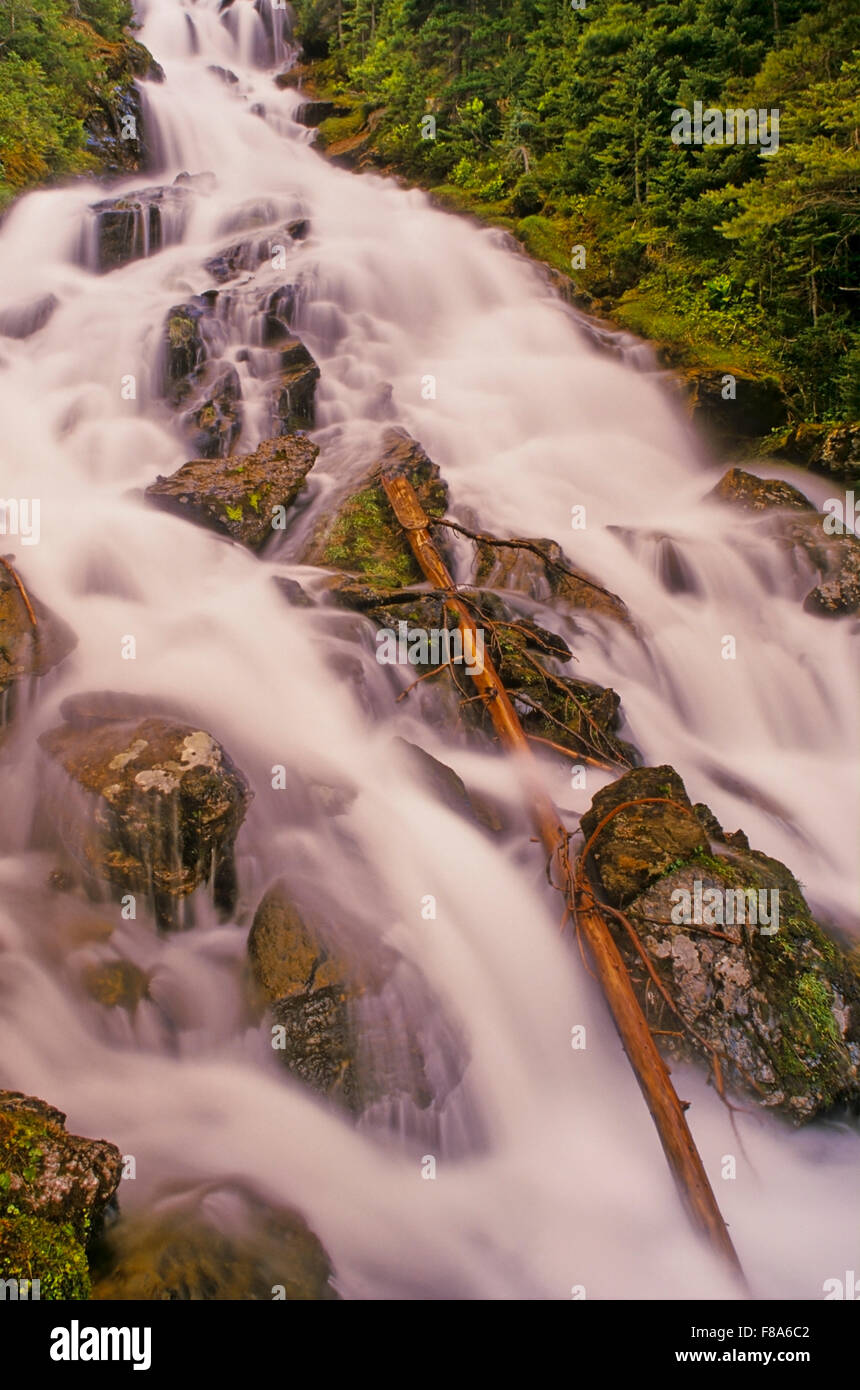 Silver King Creek, Babine Mountains Provincial Park, Smithers, British ...