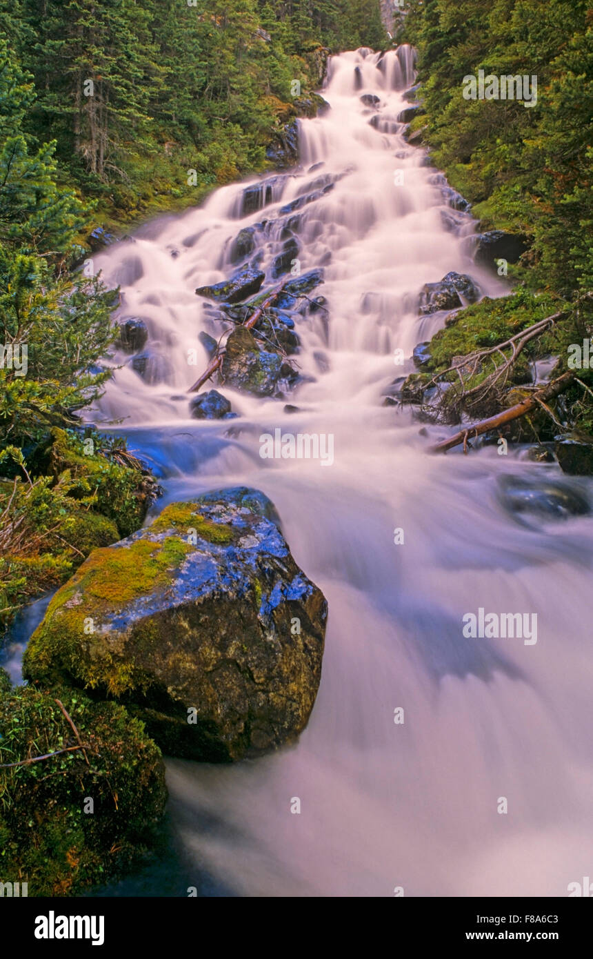 Silver King Creek, Babine Mountains Provincial Park, Smithers, British ...