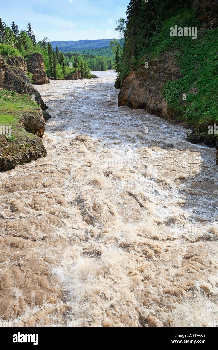 Record spring snow run-off on the Bulkley river at Moricetown Falls ...