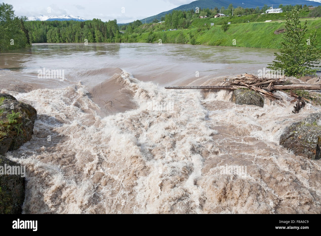 Record spring snow run-off on the Bulkley river at Moricetown Falls ...