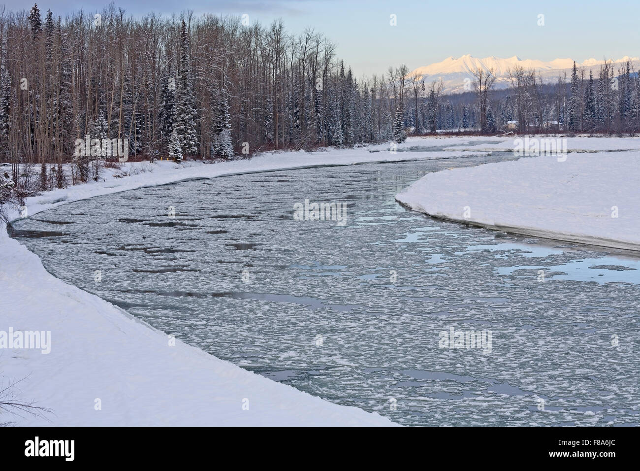 Bulkley river in winter, Smithers, British Columbia Stock Photo - Alamy