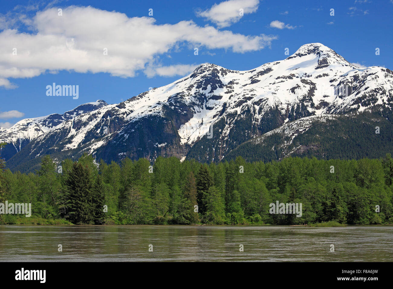 View southeast from Exchamsiks River Provincial Park over Skeena river ...