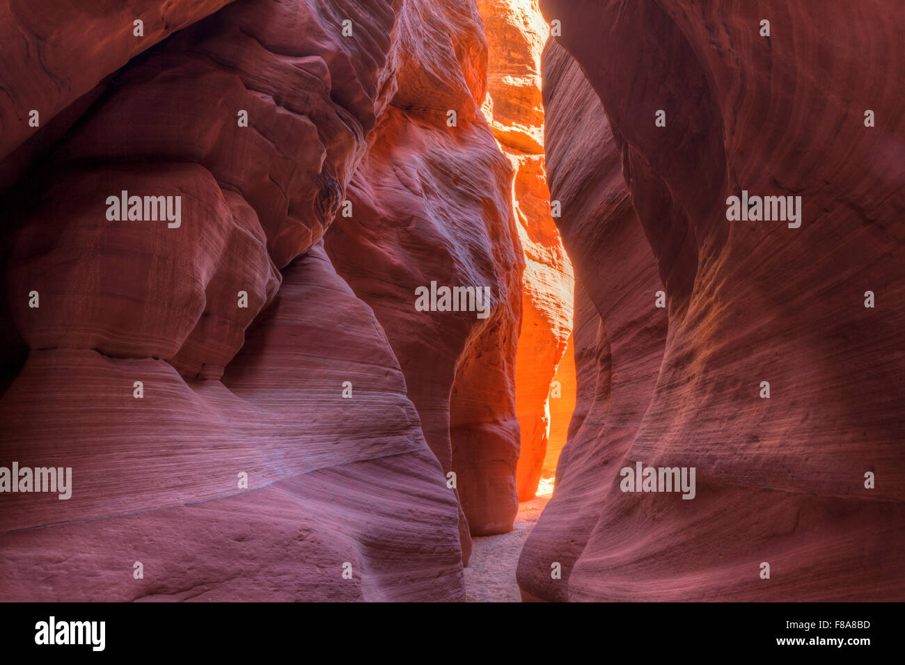 Warm light at an opening in WIre Pass, a narrow slot canyon that feeds ...