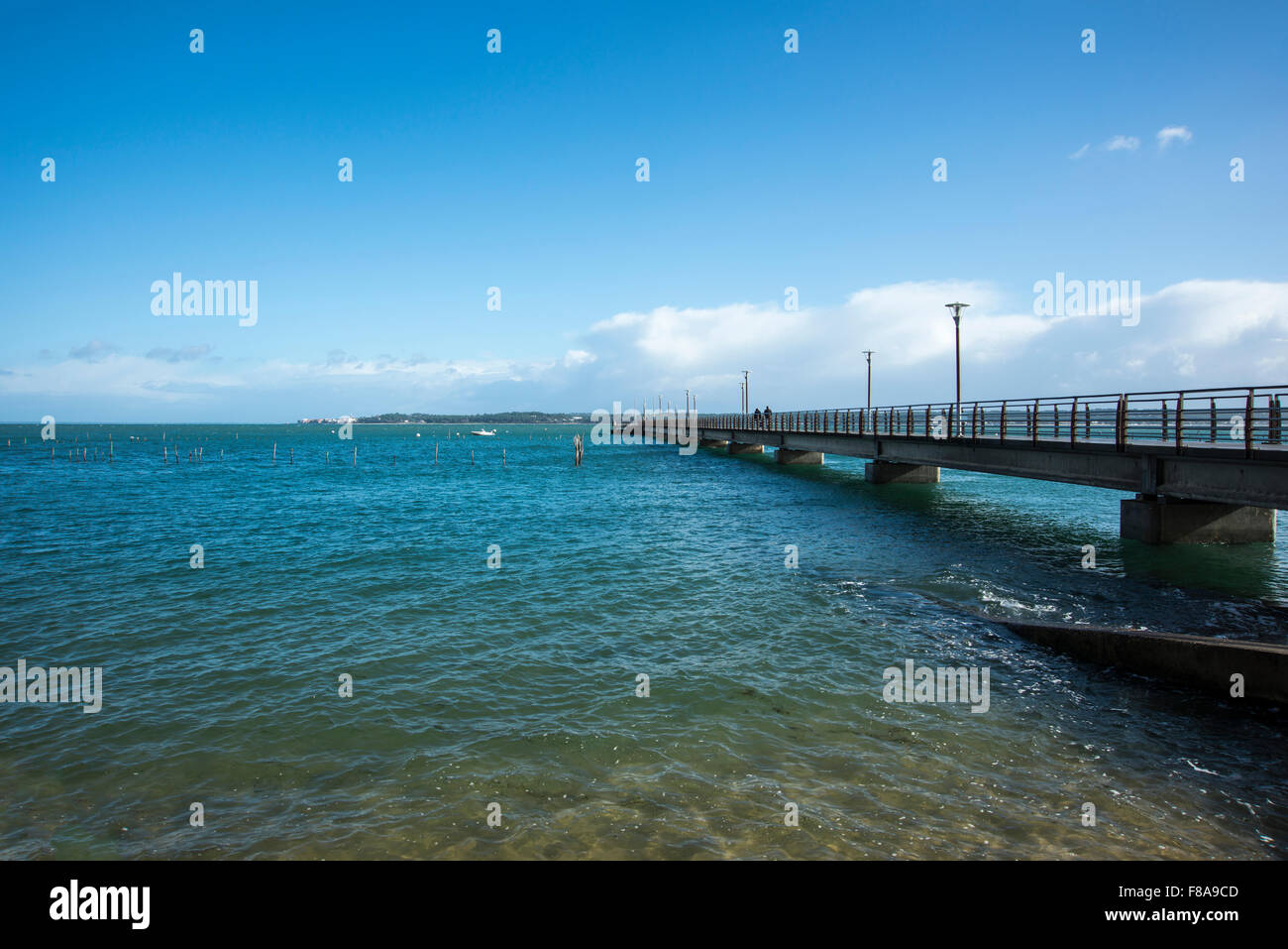 Peninsula lege cap ferret hi-res stock photography and images - Alamy