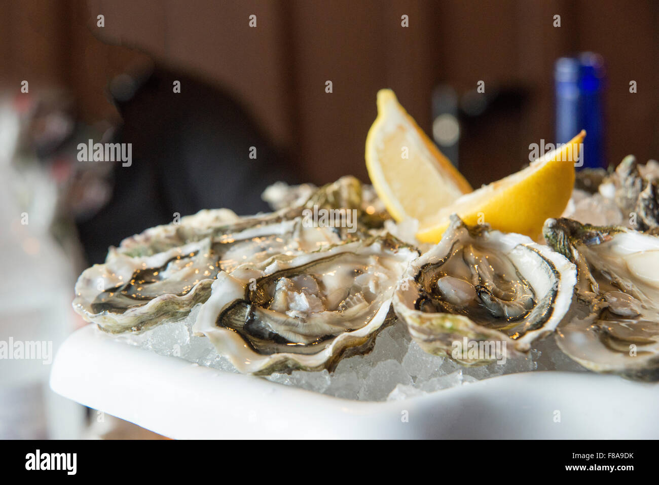 Fresh oyster ready for eating hi-res stock photography and images - Alamy
