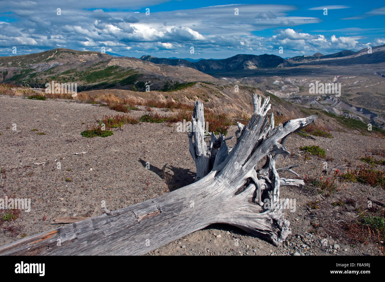 Mount saint helens national monument hi-res stock photography and ...