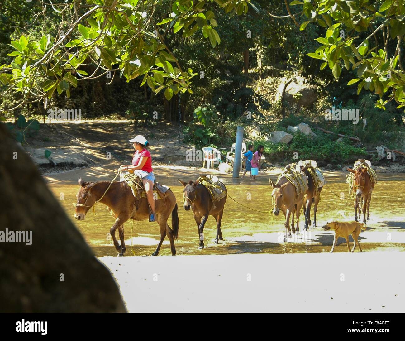 Donkey ride woman hi-res stock photography and images - Alamy