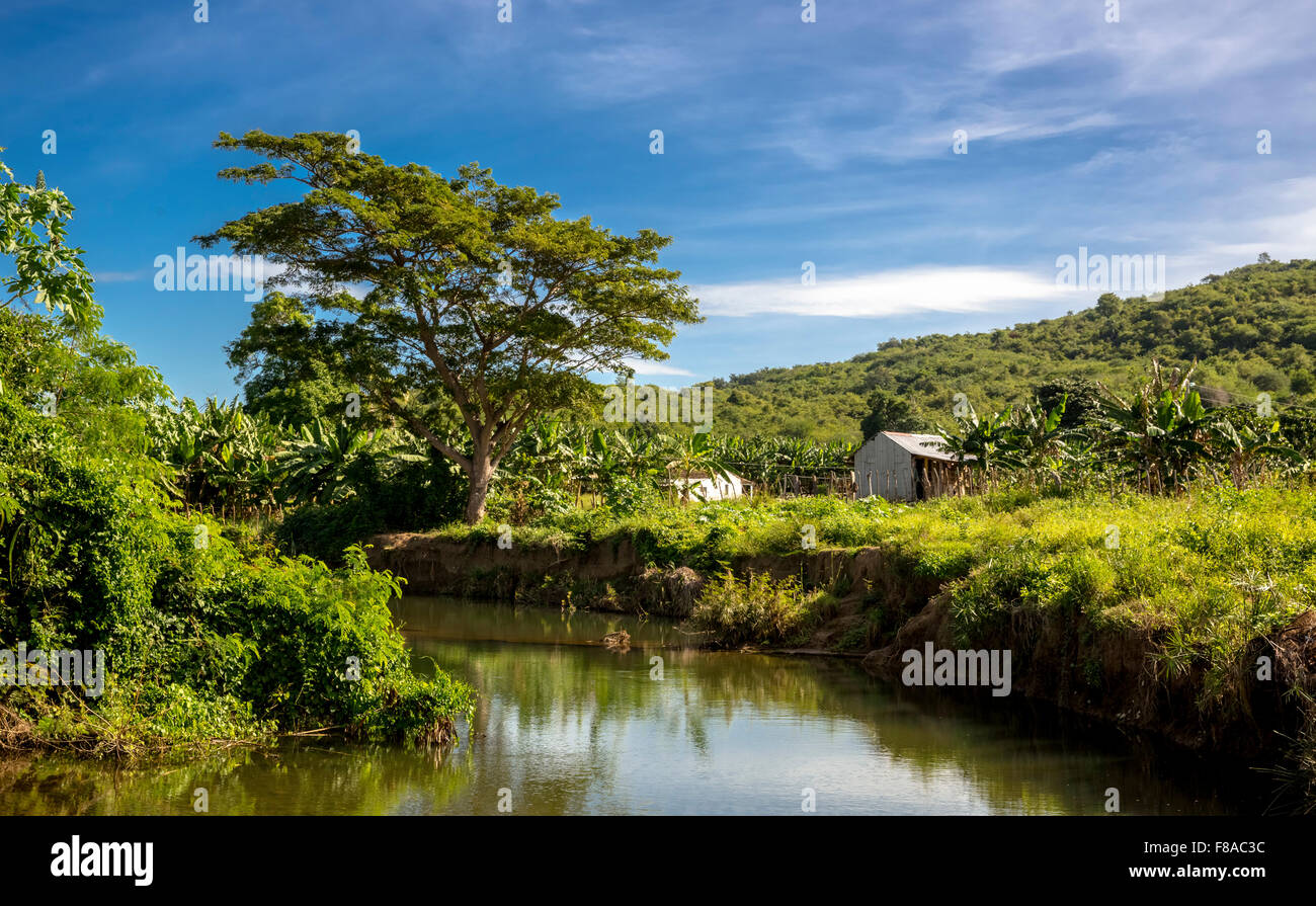 Small river hi-res stock photography and images - Alamy