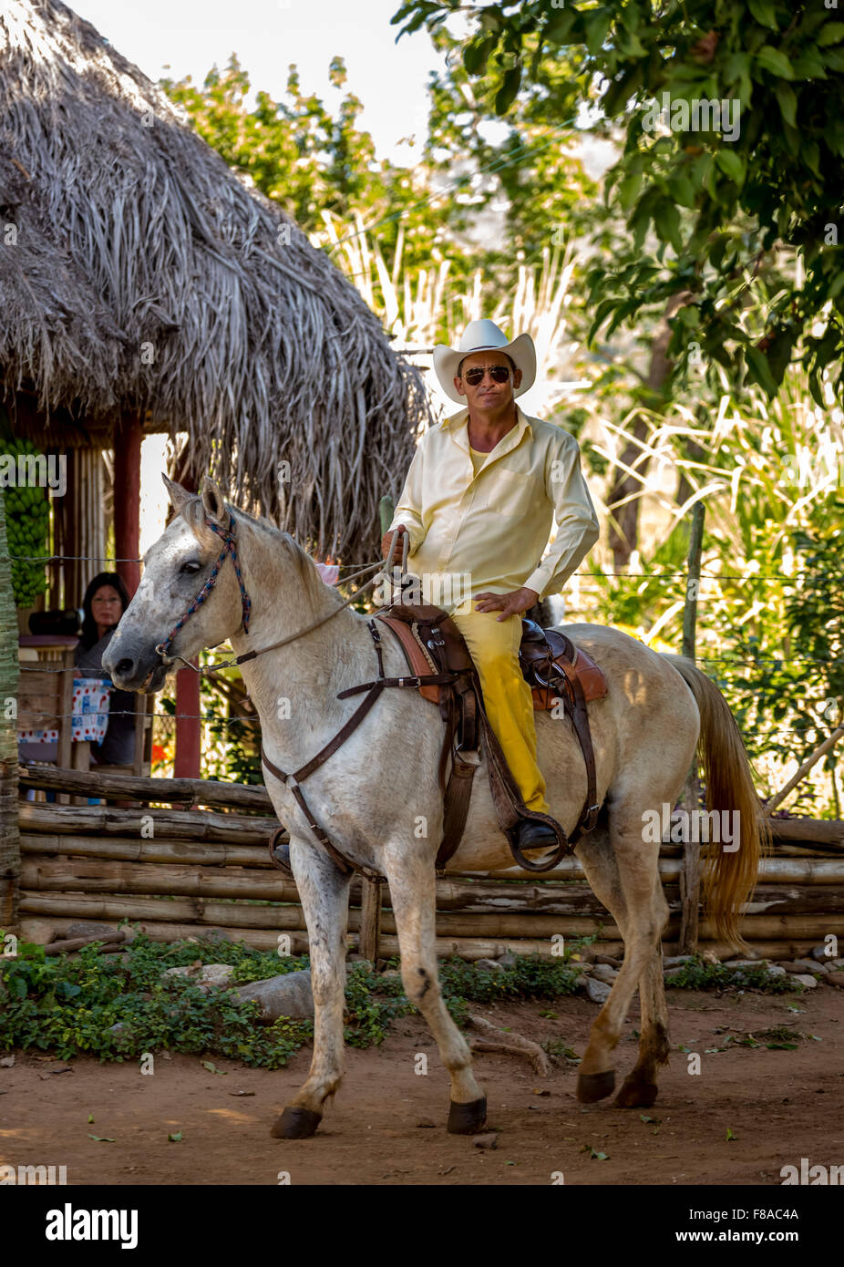 Reiter, Cuban Cowboy going in the Valle de Ingenios, White Horse, White ...