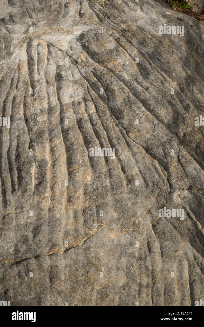 Patterns from erosion on a large rock Stock Photo - Alamy