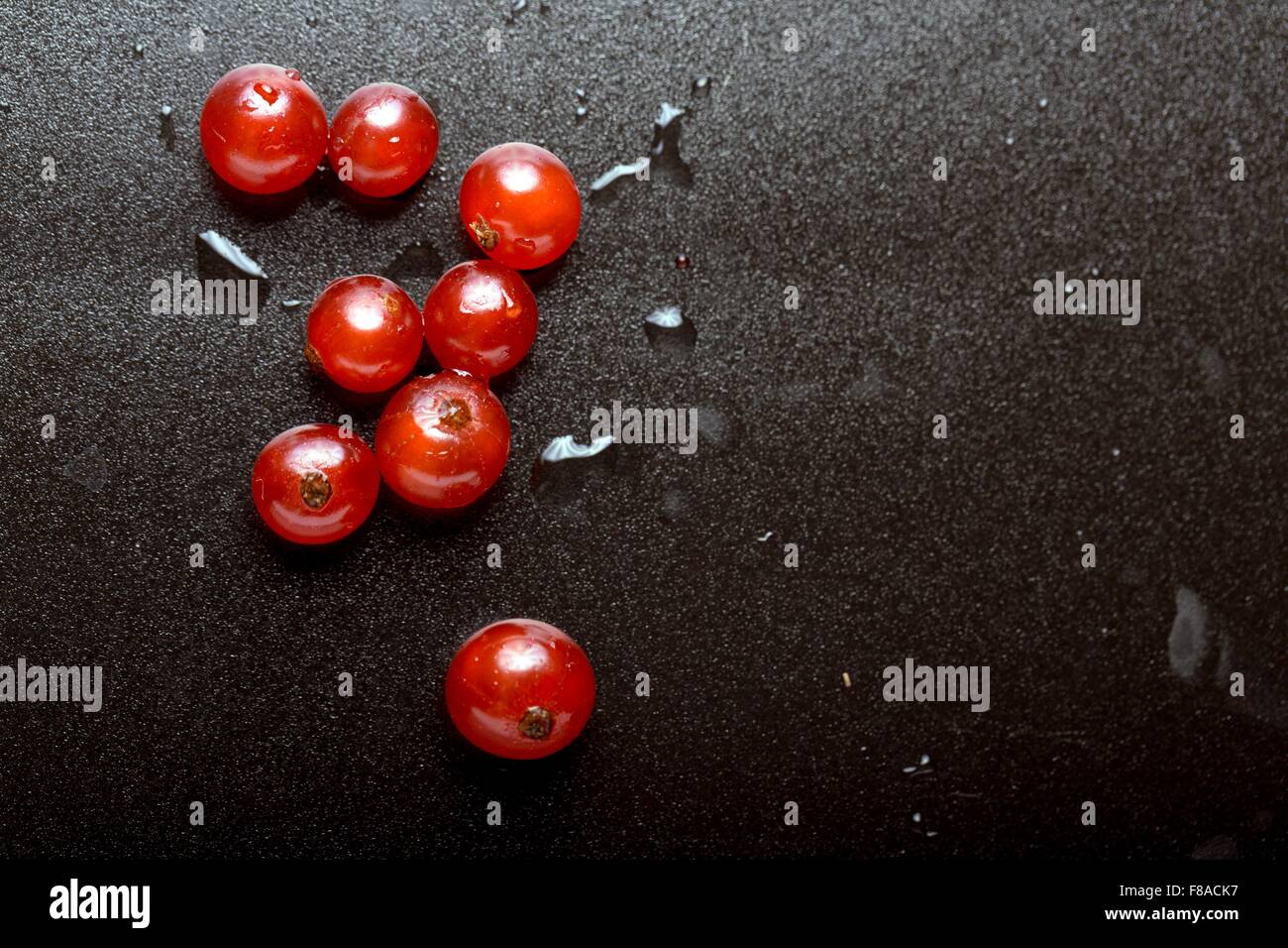 Healthy mixed forest hi-res stock photography and images - Alamy