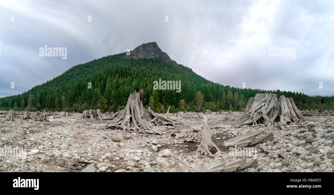 Stump mountain hi-res stock photography and images - Alamy
