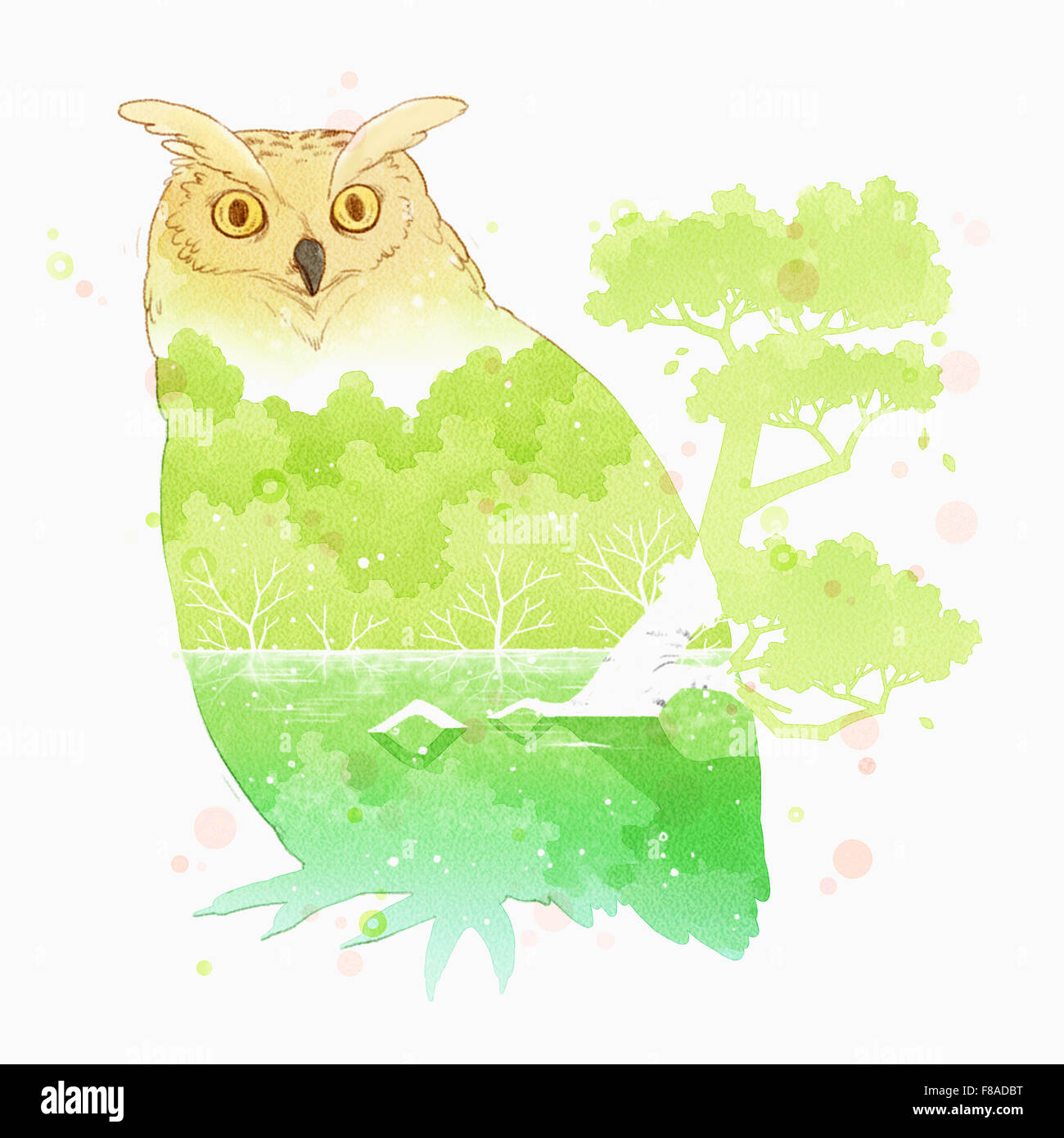 Watercolor owl with lake and trees Stock Photo - Alamy