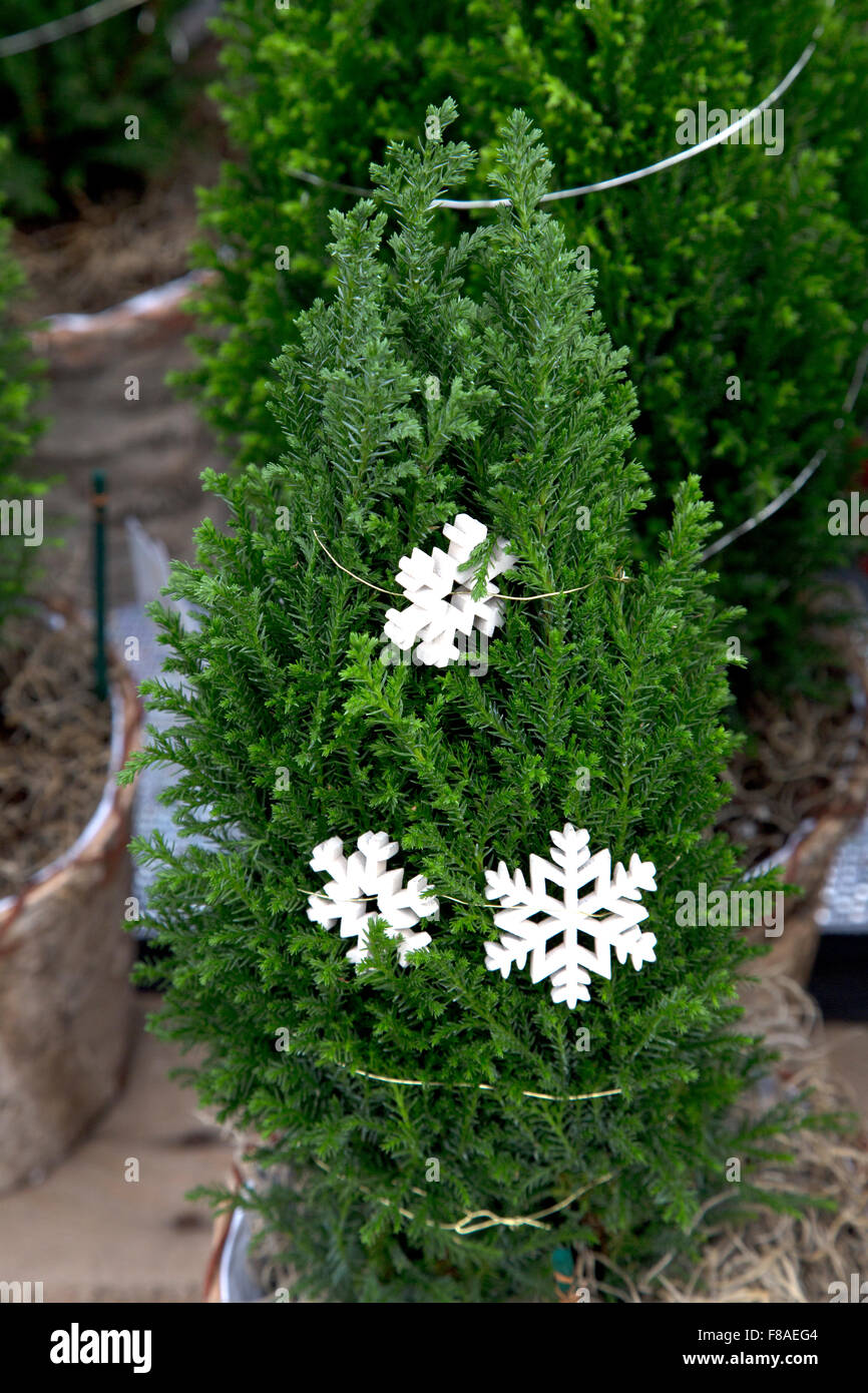 Snowflake garland hi-res stock photography and images - Alamy
