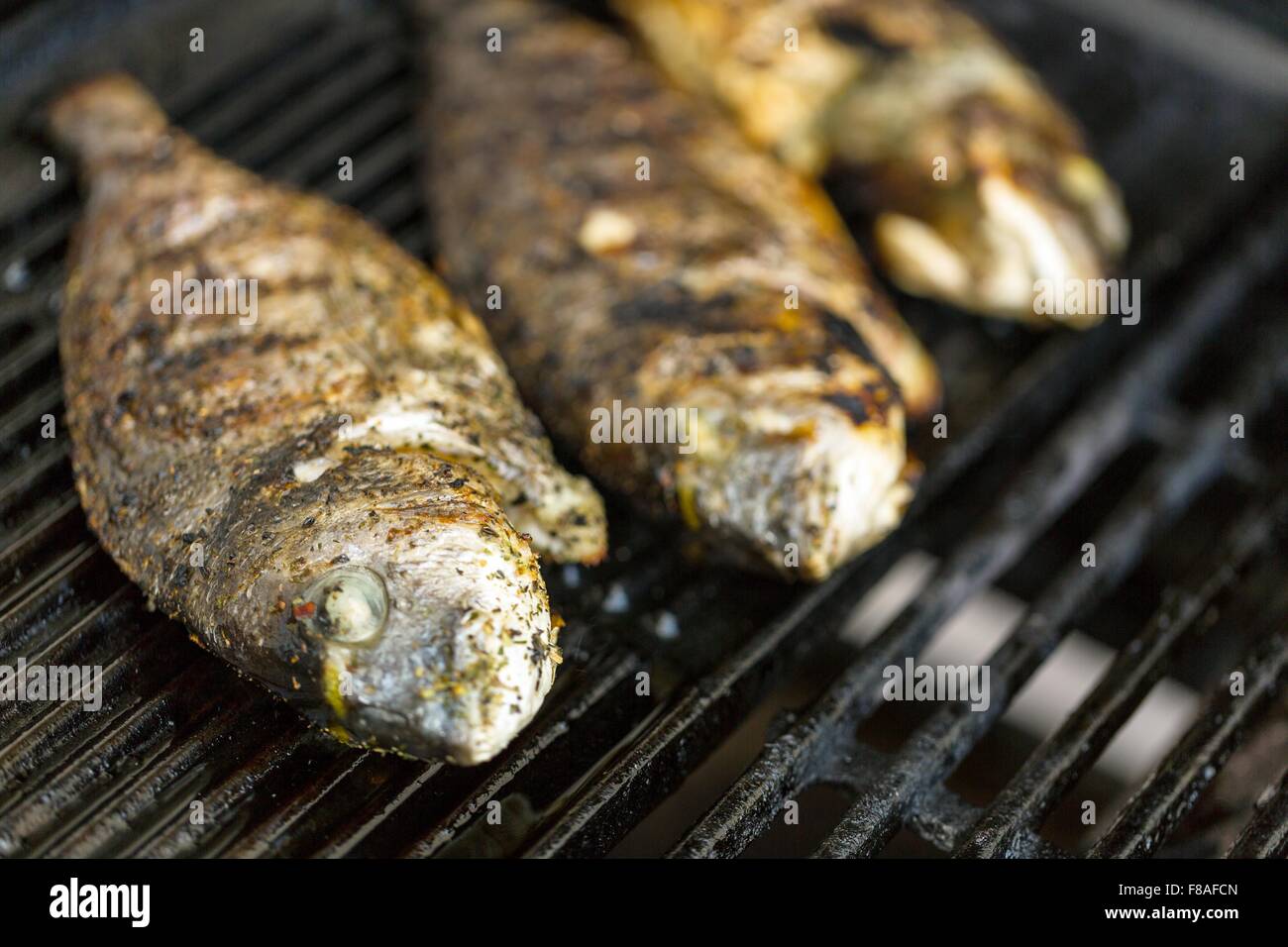 Fish barbecue meal hi-res stock photography and images - Alamy