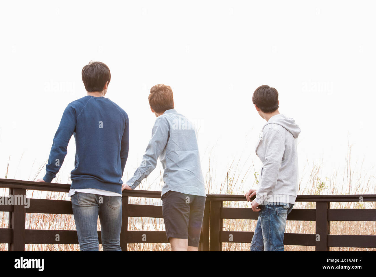 Back appearance of three young men leaning on the fence and looking out ...