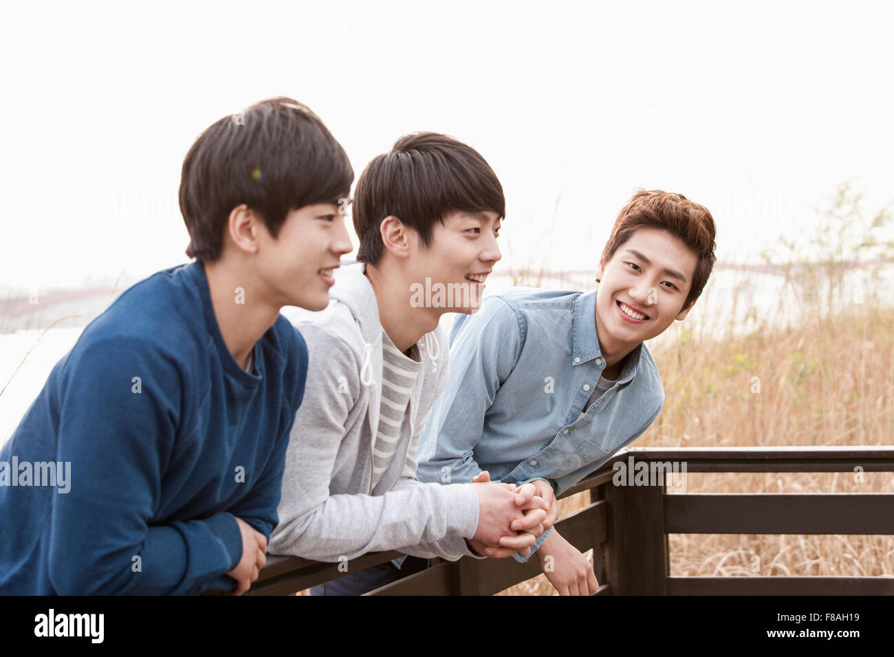 Three young men leaning on the fence Stock Photo - Alamy