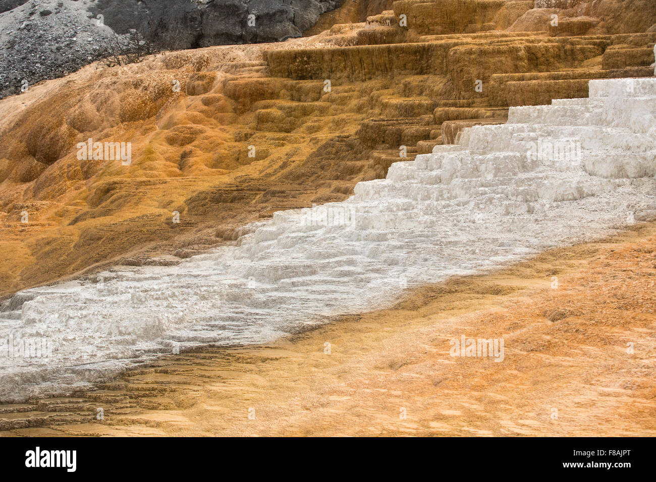 White travertine terraces hi-res stock photography and images - Alamy