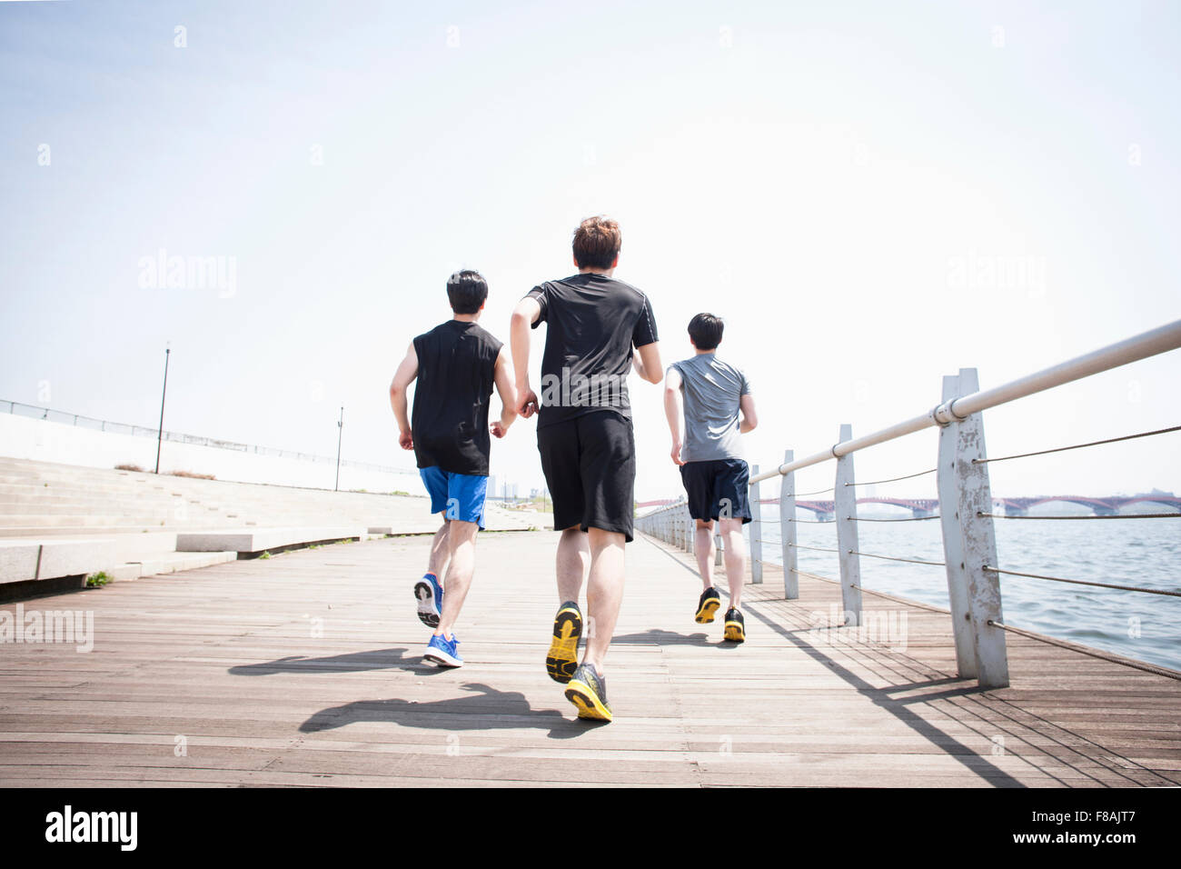 Back appearance of three young men in sports outfits running along the ...