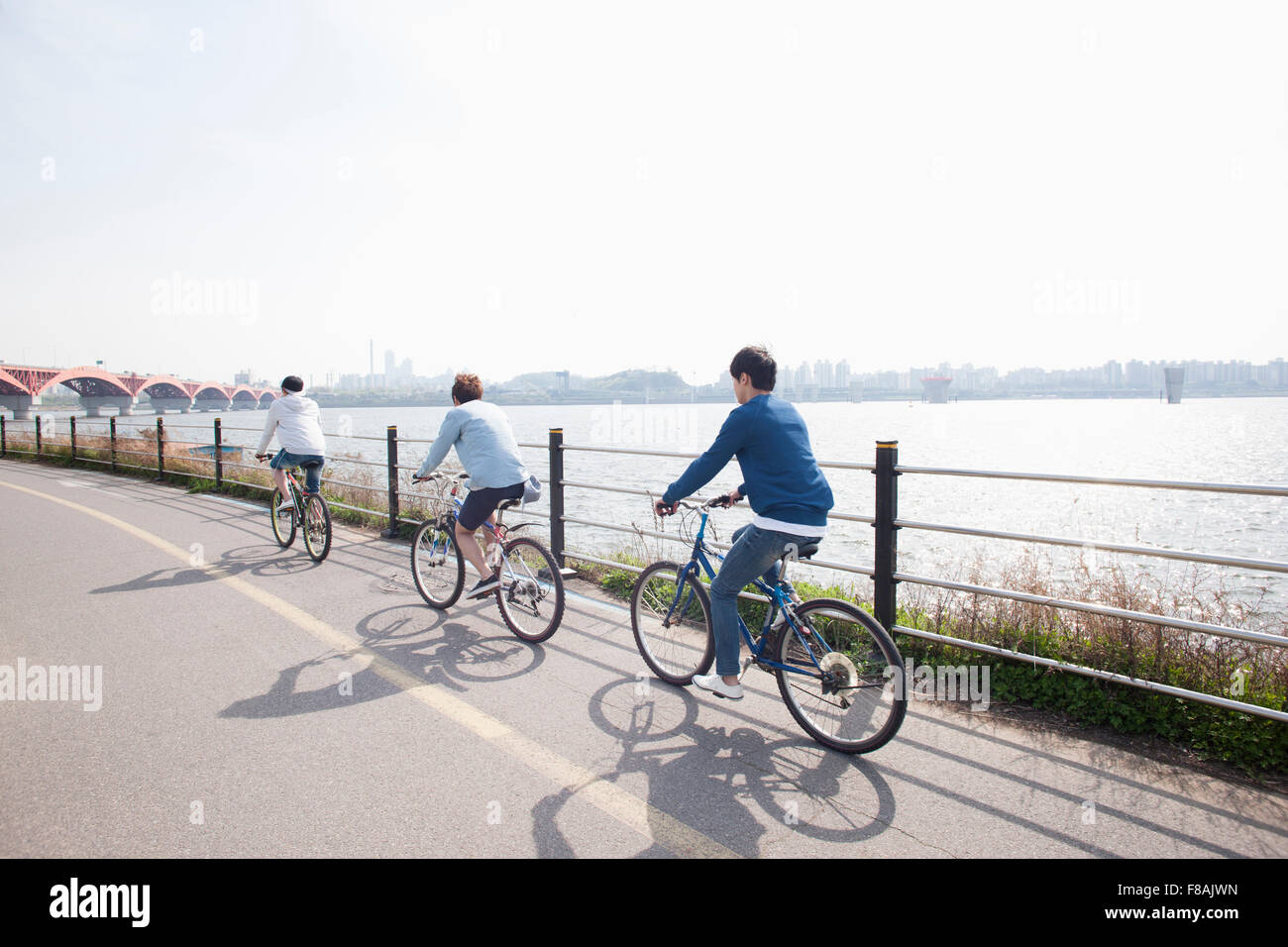 Back appearance of three young men riding their bikes along the ...