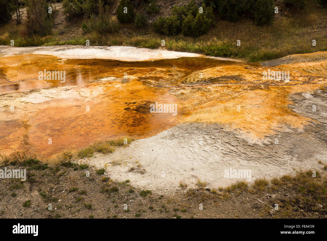 Colorful, orange and white geothermal stream runs over the travertine ...