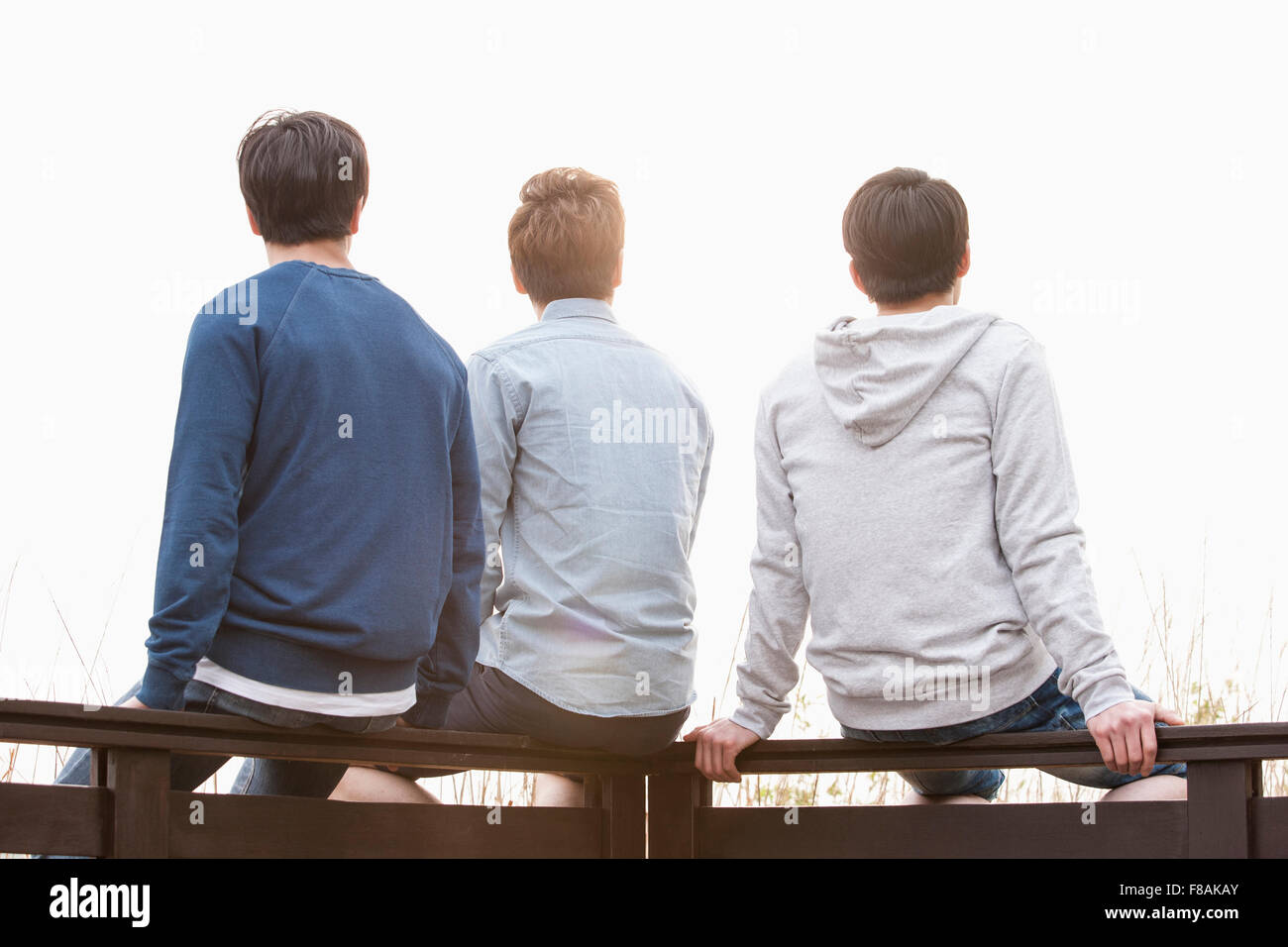 Back appearance of three young men sitting on the fence and taking a ...