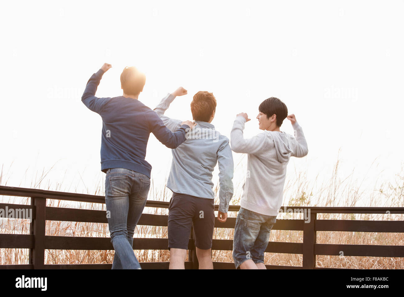 Back appearance of three men full of energy putting their hands up ...