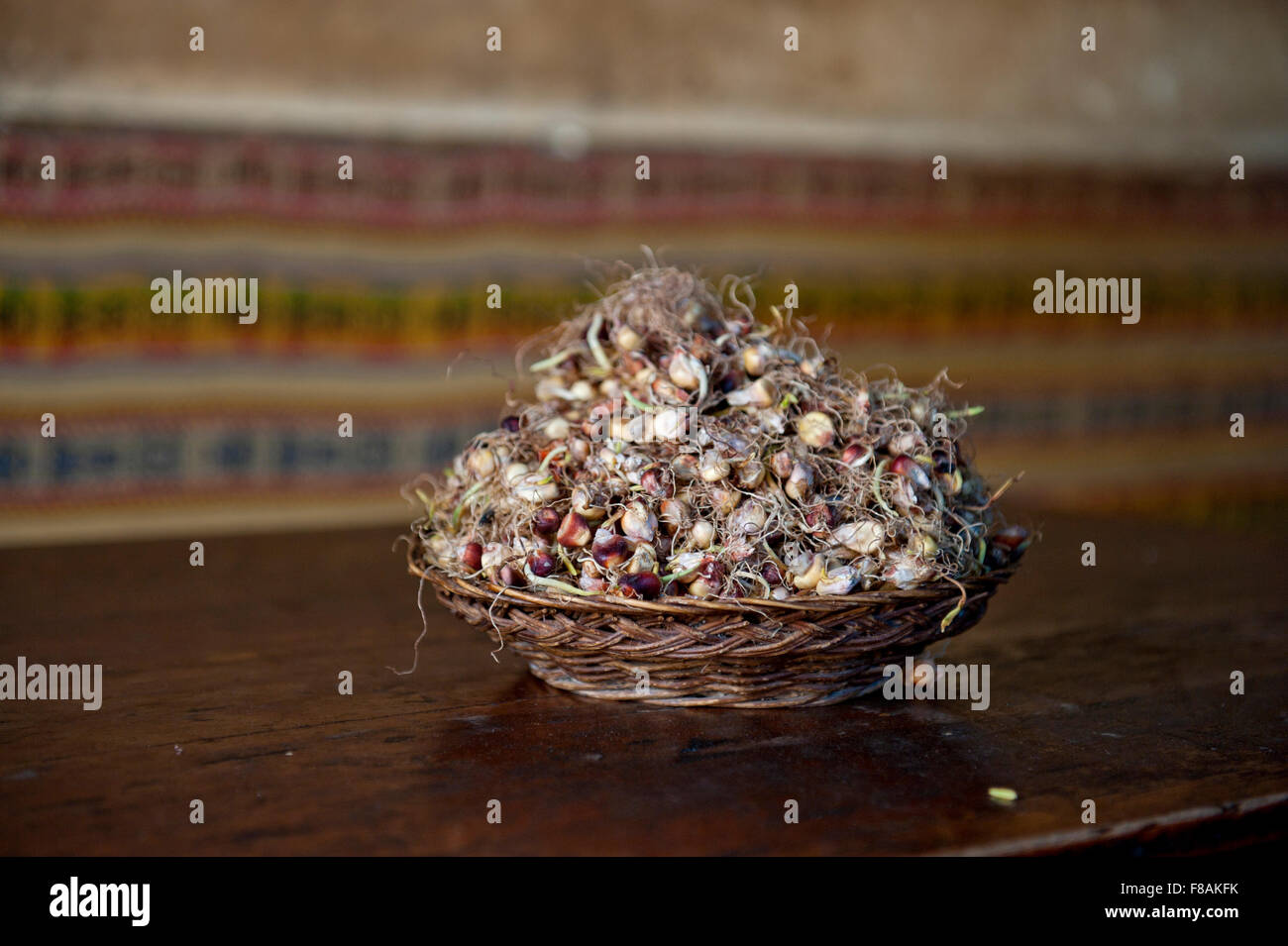 Dry Corn Outdoors Stock Photo - Alamy