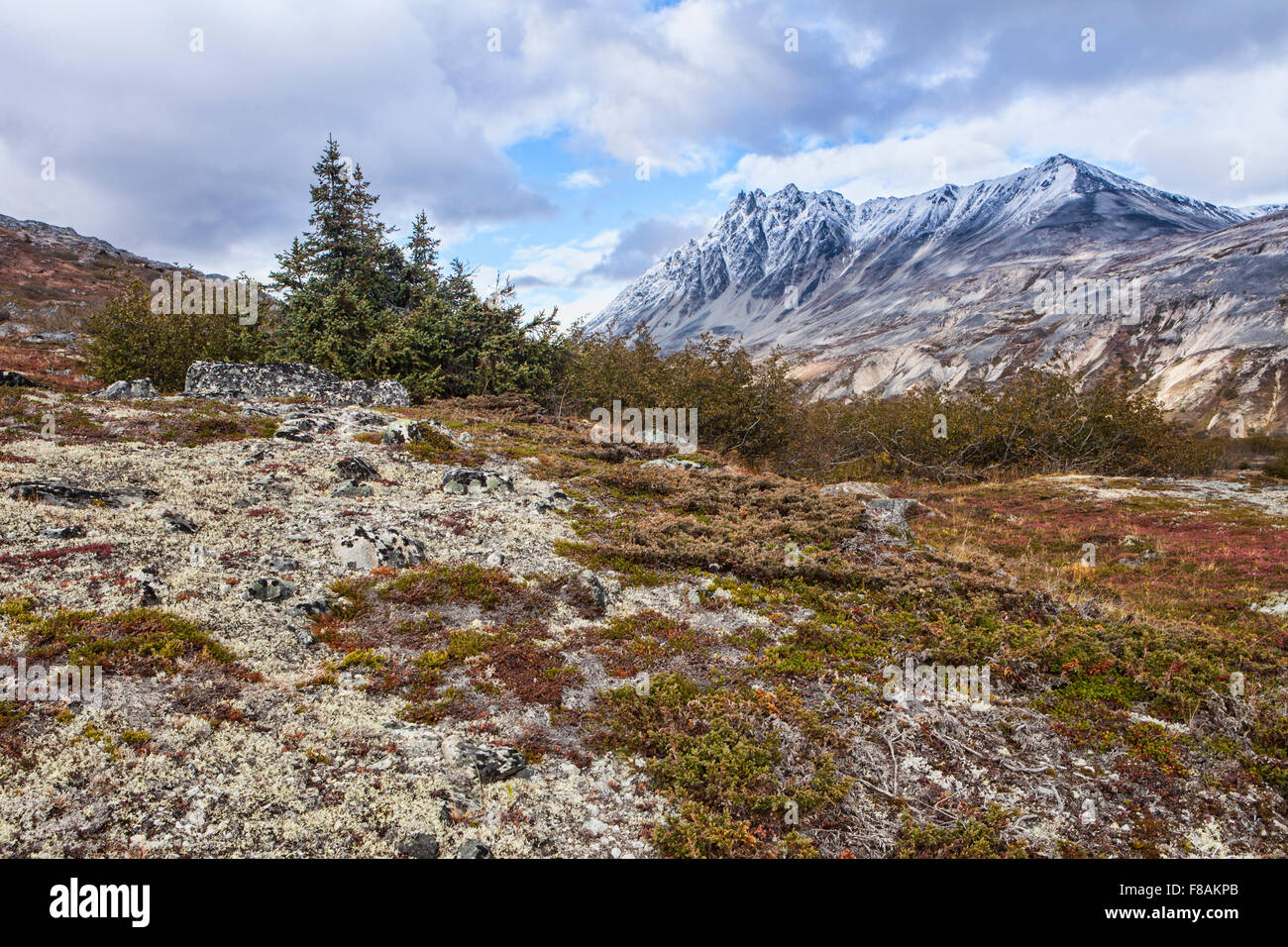 Yukon high elevation mountains in fall with cloudy skies Stock Photo ...