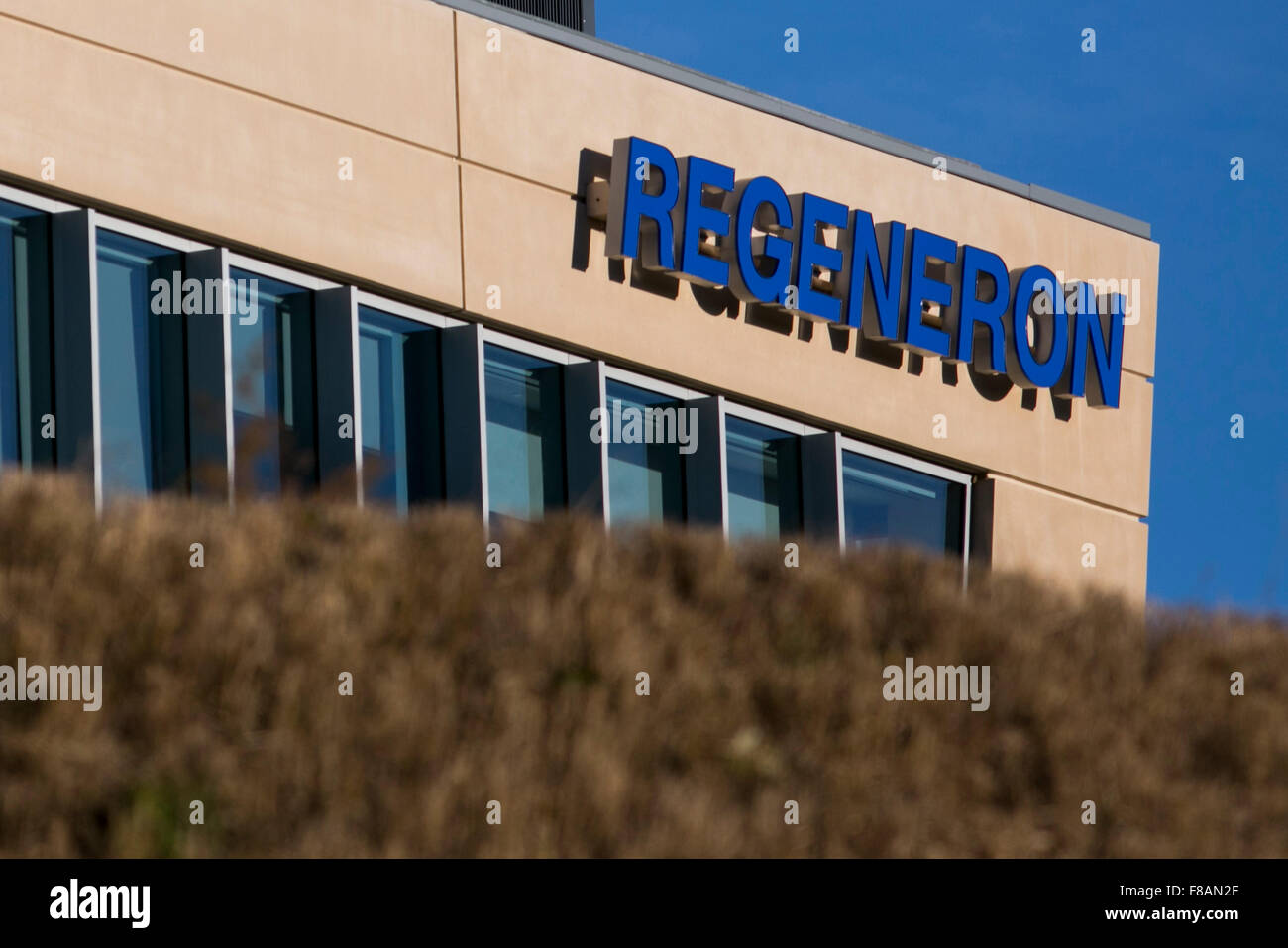 Regeneron pharmaceuticals inc hi-res stock photography and images - Alamy