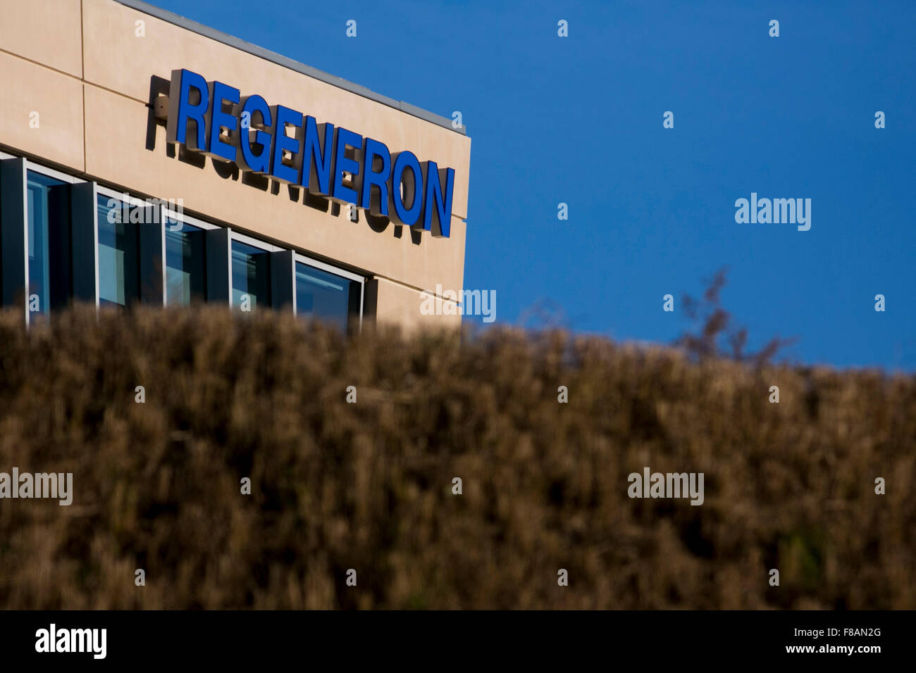 Logo regeneron pharmaceuticals hi-res stock photography and images - Alamy