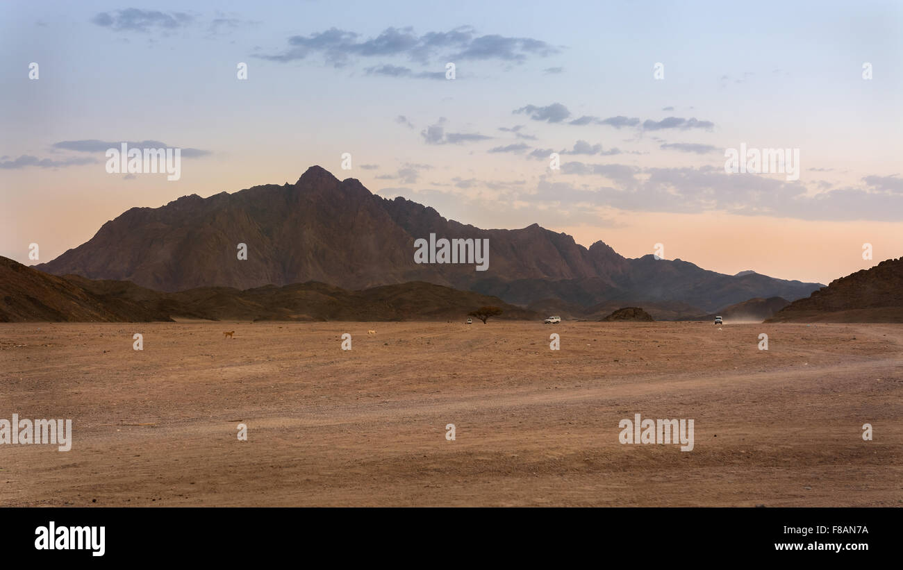 In the picture three jeeps while crossing the desert rocks Egyptian at ...