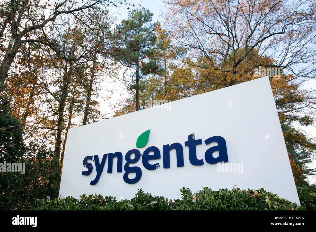 A logo sign outside of a facility occupied by Syngenta in Research ...