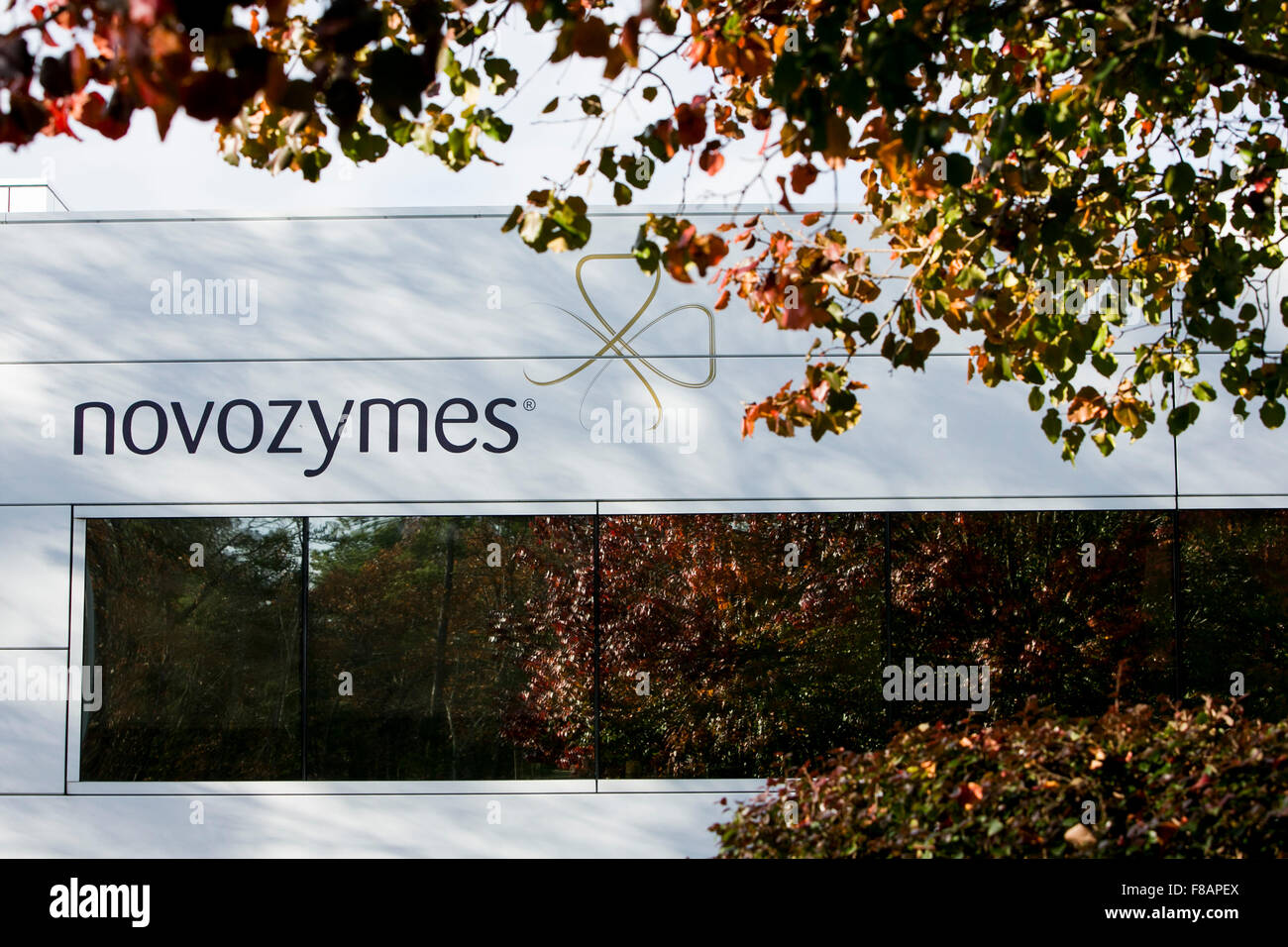 A logo sign outside of a facility occupied by Novozymes in Research ...