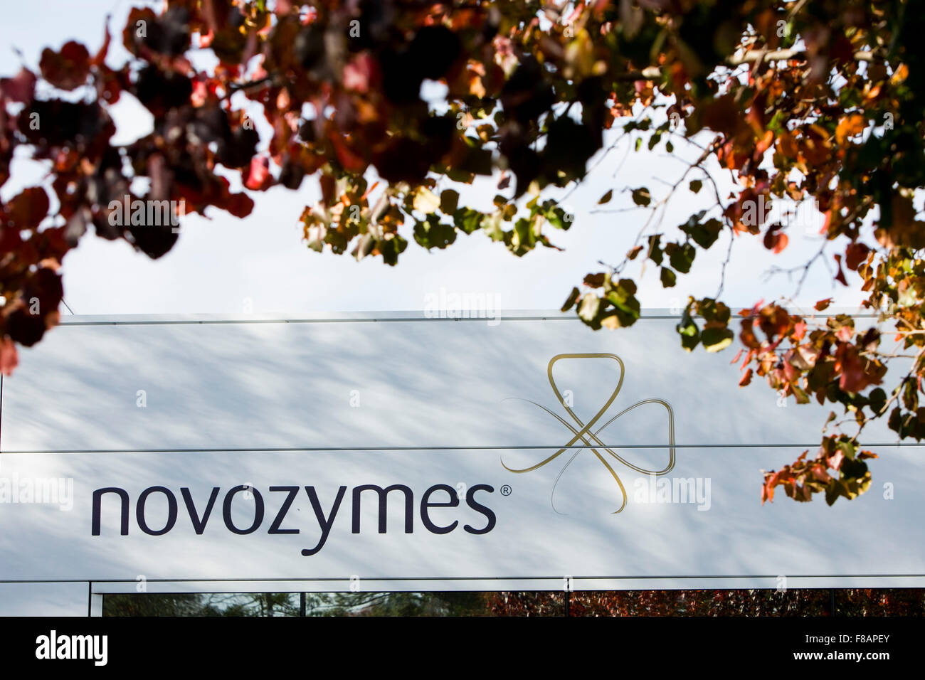 A logo sign outside of a facility occupied by Novozymes in Research ...