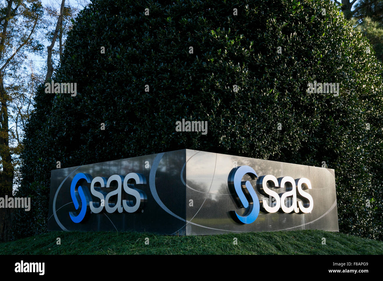 Sas Logo Stock Photos & Sas Logo Stock Images - Alamy