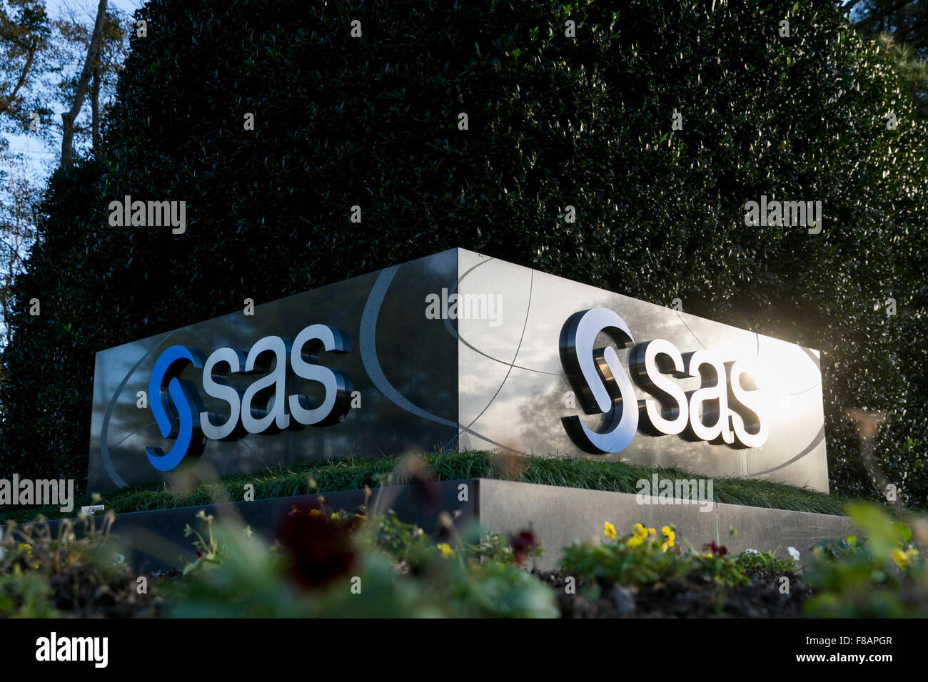 Sas logo hi-res stock photography and images - Alamy