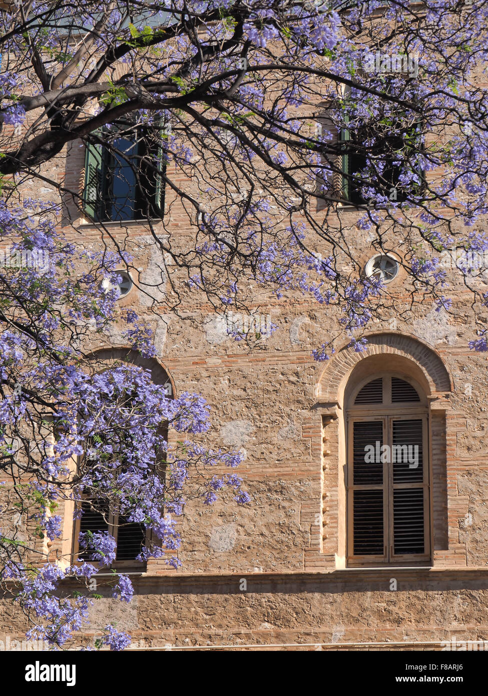 old brick house with blue flower tree Stock Photo - Alamy