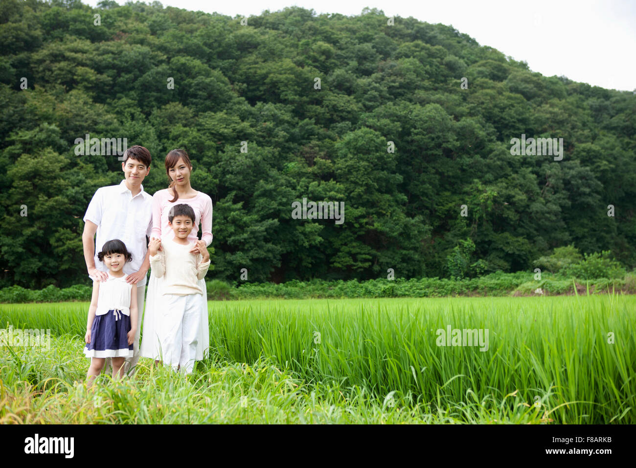 Family rice field hi-res stock photography and images - Alamy