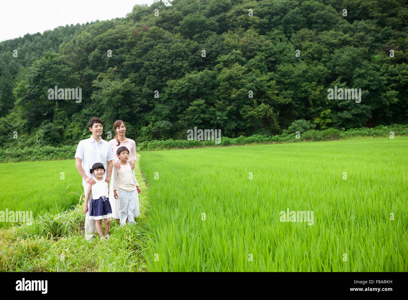 Happy family standing on lane through rice fields against mountain ...