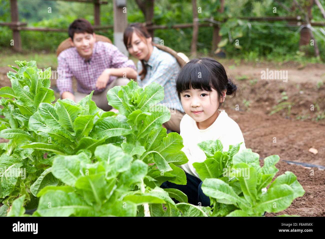 Girl with her parents in field of vegetables staring at front Stock ...